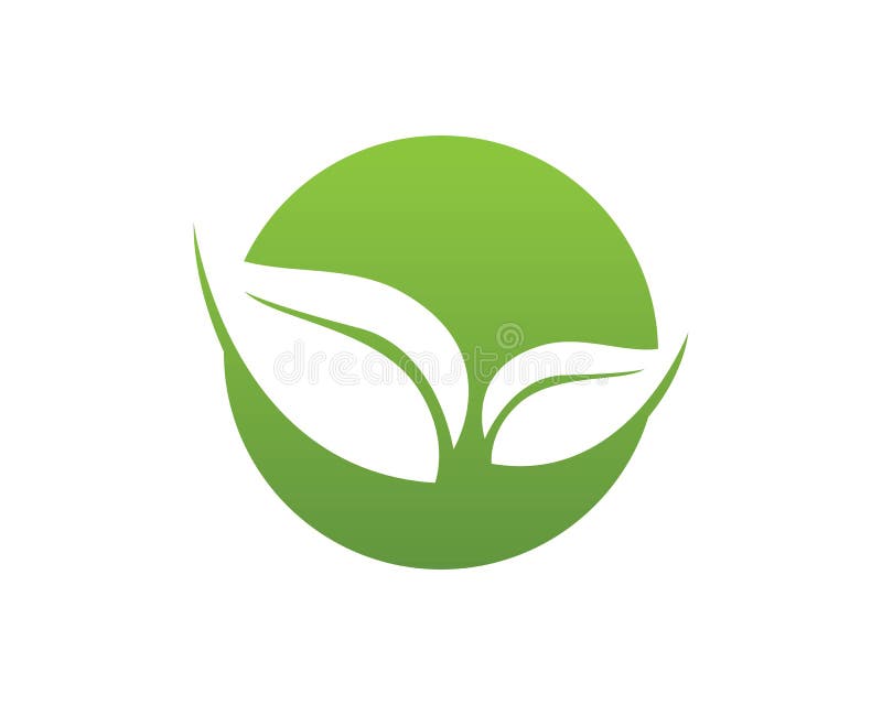 Leaf Logos Symbols Template and Stock Illustration - Illustration of ...