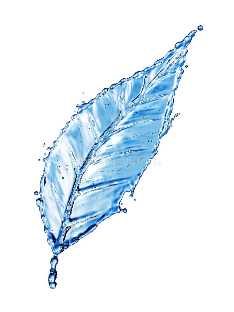 Leaf Made Water Splash Stock Illustrations – 513 Leaf Made Water Splash ...