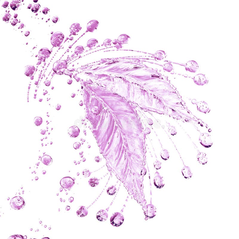 Leaf Made of Water Splash. Pink Color Stock Illustration - Illustration ...
