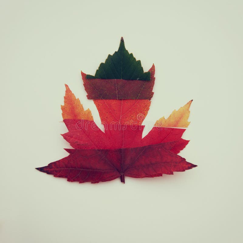 Leaf Makes of Pieces of Colored Leaves. Beautiful Autumn Design Element ...