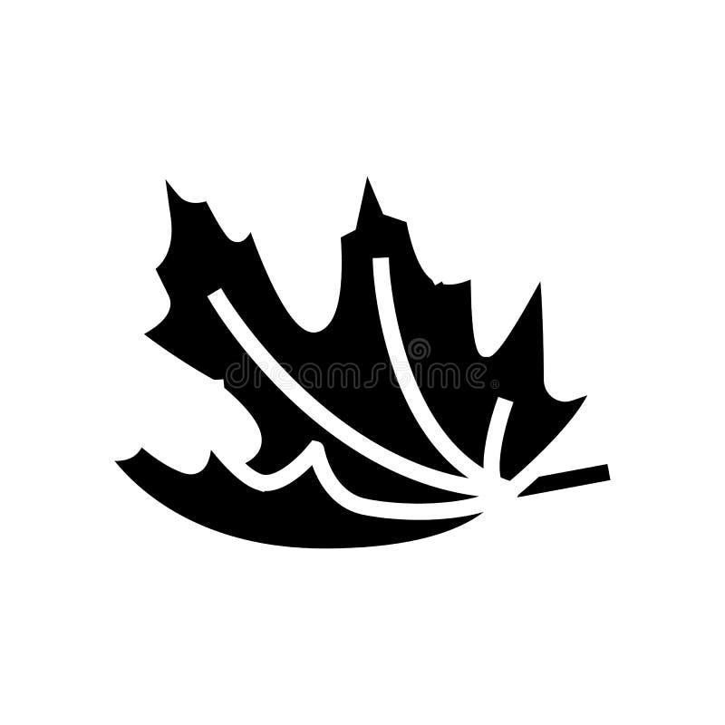 Leaf Maple Autumn Glyph Icon Vector Illustration Stock Vector ...