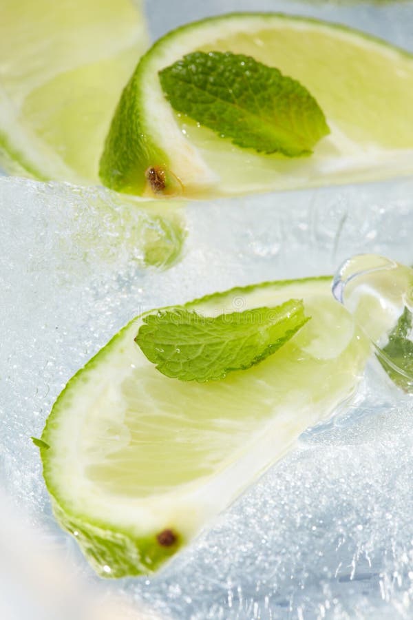 Leaf mint and cut citrus stock image. Image of cocktail - 9915809