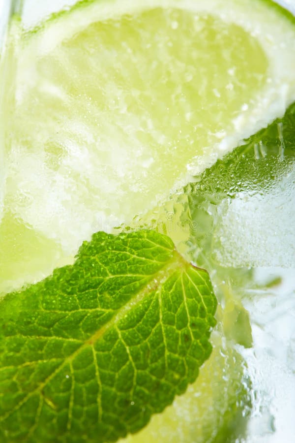 Leaf mint and cut citrus stock image. Image of green, lime - 9988725