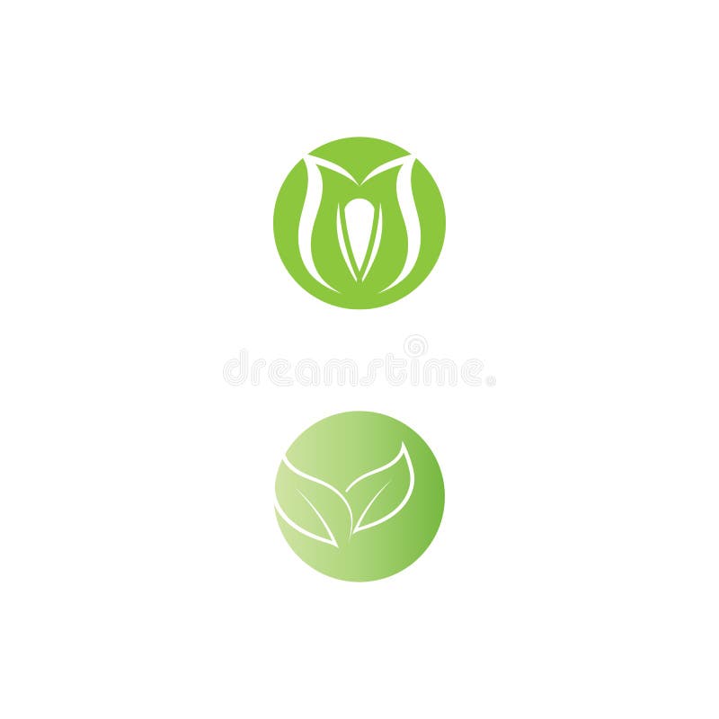Leaf Mint Logo Template Vector Symbol Stock Vector - Illustration of ...