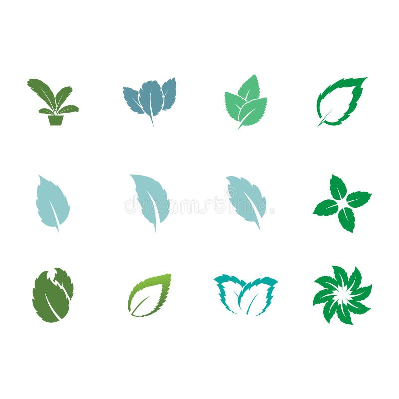Leaf Mint Logo Vector Template Symbol Design Stock Vector ...