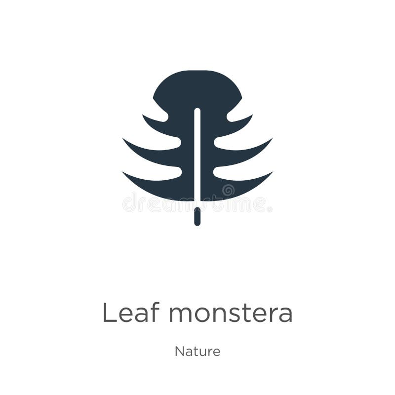 Leaf Monstera Icon Vector. Trendy Flat Leaf Monstera Icon from Nature ...