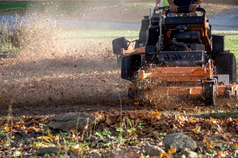 Leaf Mulching in a Fall Yard Stock Photo - Image of clean, tool: 320354238