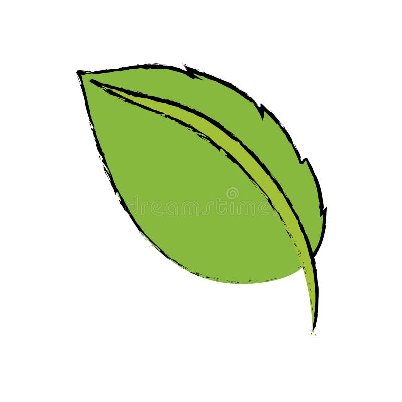 Leaf natural concept stock illustration. Illustration of green - 83149017