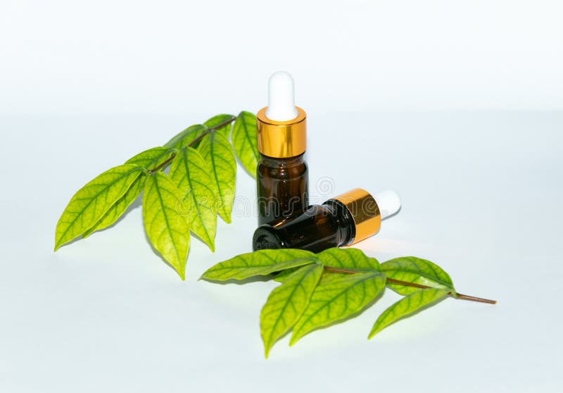 Leaf Oil in Bottle and Fresh Leaf on White Background Stock Image ...