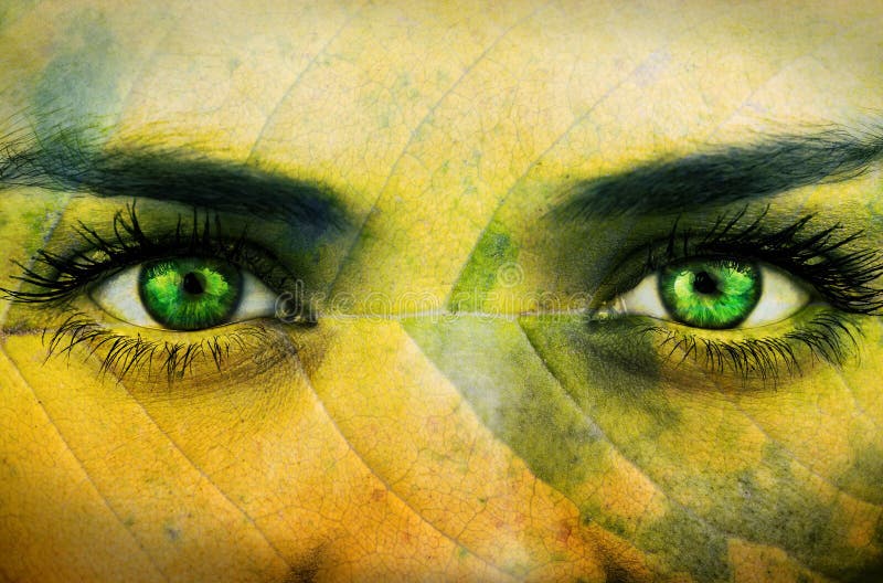 Leaf overlay on face stock illustration. Illustration of face - 255573983