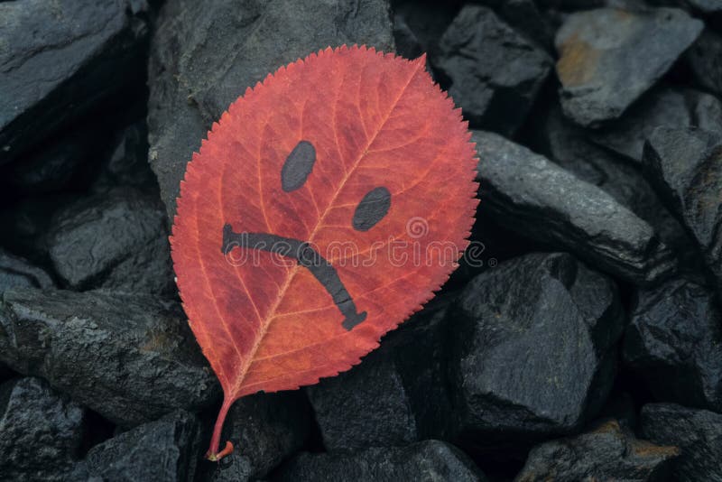 Leaf with Painted Sad Face and Leaf with Inscription Text - I Don`t ...