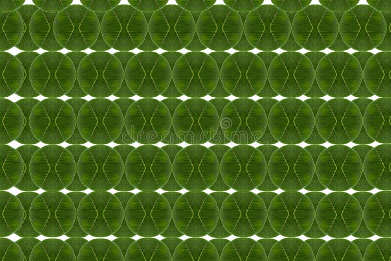 Leaf pattern. stock illustration. Illustration of paper - 40733027
