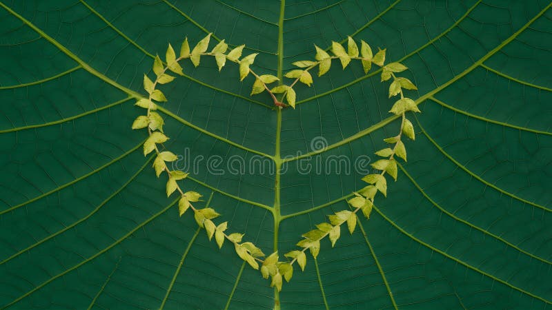 Leaf Pattern Nature Frame Layout Heart Shaped Green Leaves Stock ...