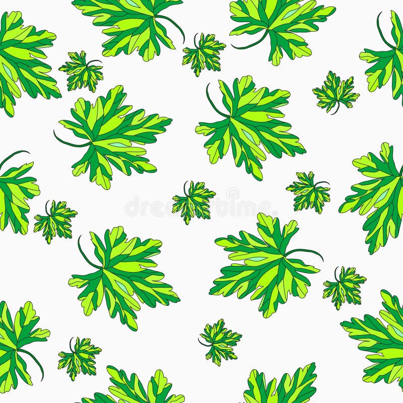 Leaf pattern stock vector. Illustration of fashion, nature - 55635228