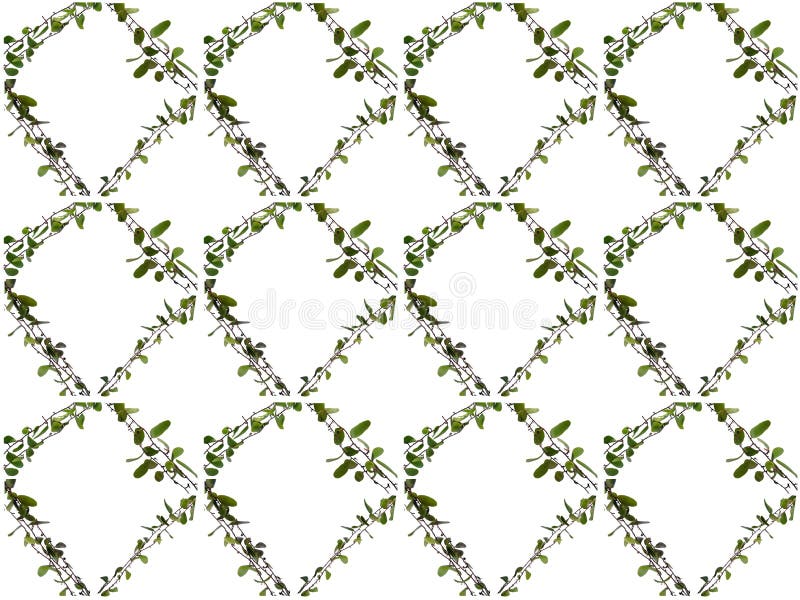 Leaf Pattern with a White Background. Leaves Pattern. Stock Photo ...