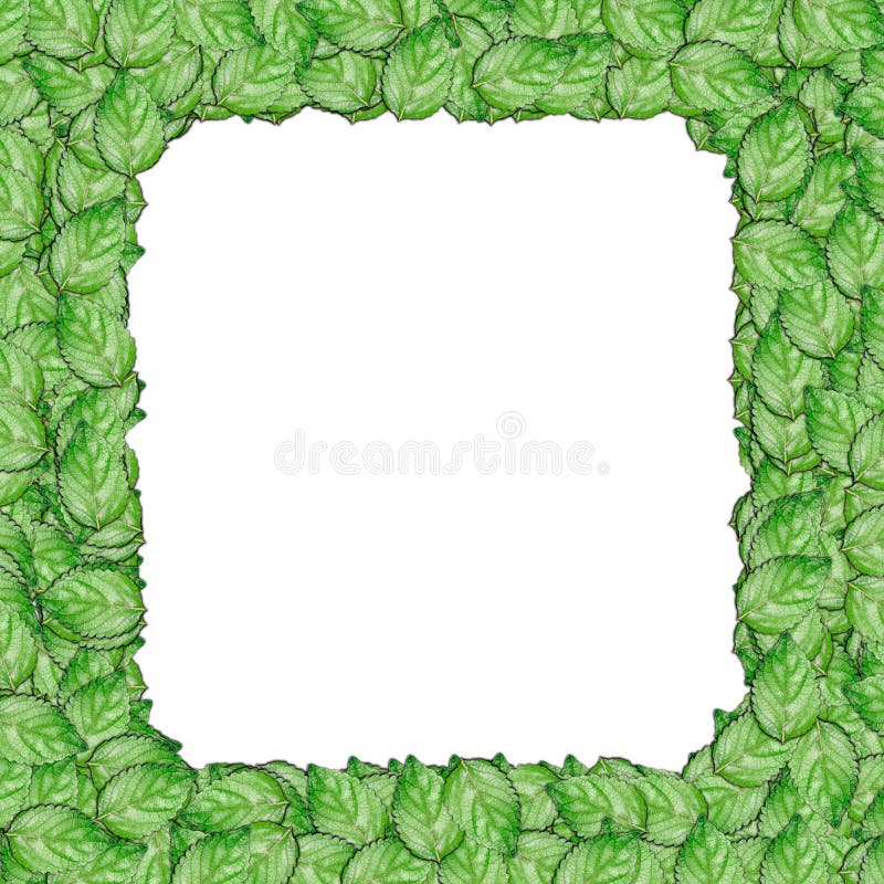 Leaf photo frame border stock image. Image of fall, frame - 24648435
