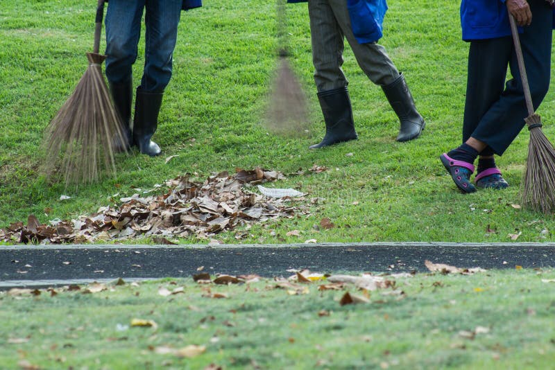 Leaf pile stock image. Image of garden, landscaping, green - 47422787