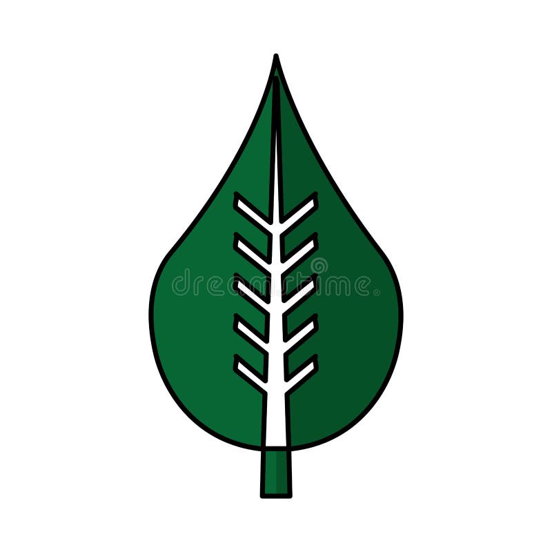 Leaf plant ecology symbol stock vector. Illustration of environmental ...