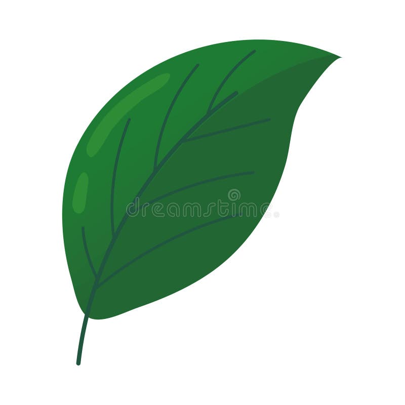 Leaf plant icon stock vector. Illustration of leaf, vector - 253829944