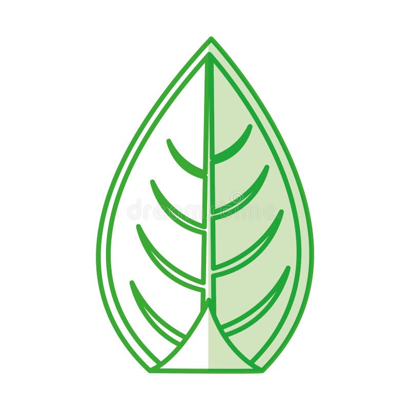 Leaf plant seasonal icon stock vector. Illustration of graphic - 92756789