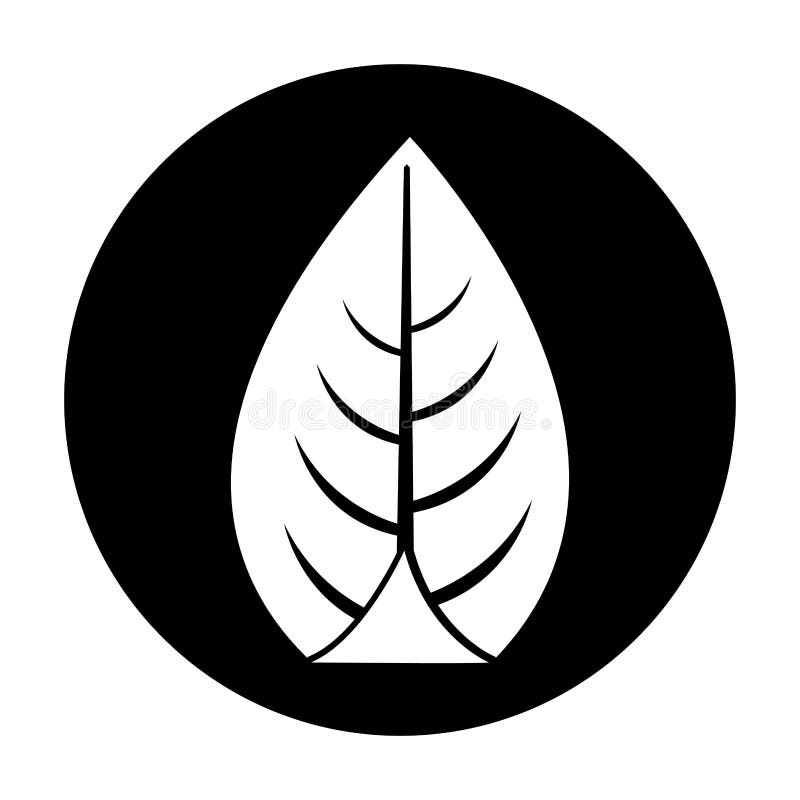 Leaf plant seasonal icon stock vector. Illustration of environment ...