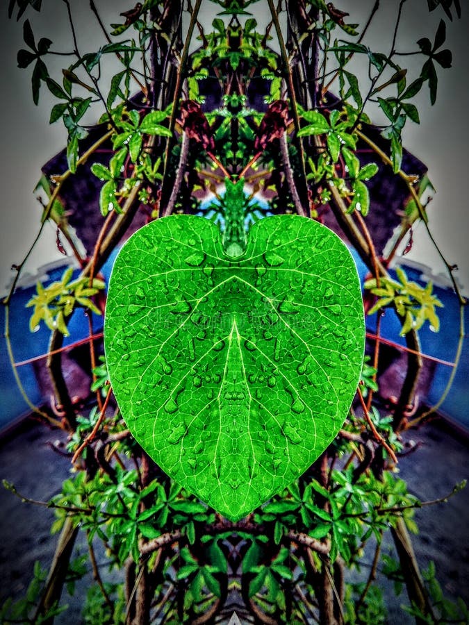 Portrait in the mirror stock image. Image of children - 22418617