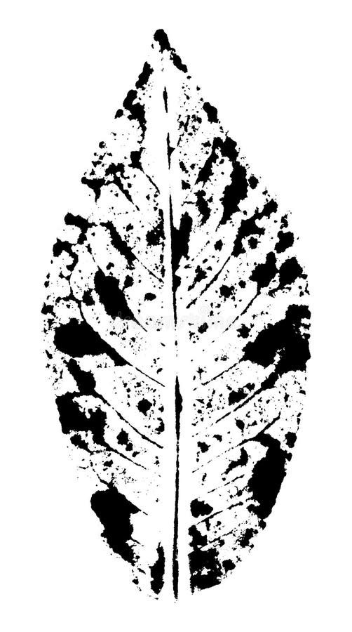 Leaf print with ink. stock illustration. Illustration of exotic - 260826565