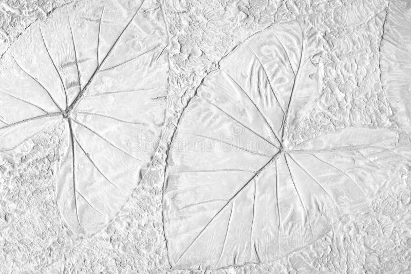 Leaf Print Patterns in Concrete Floor Grey White Background Stock Image ...