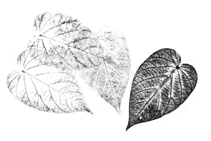 Leaf printed on paper stock illustration. Illustration of clipping ...