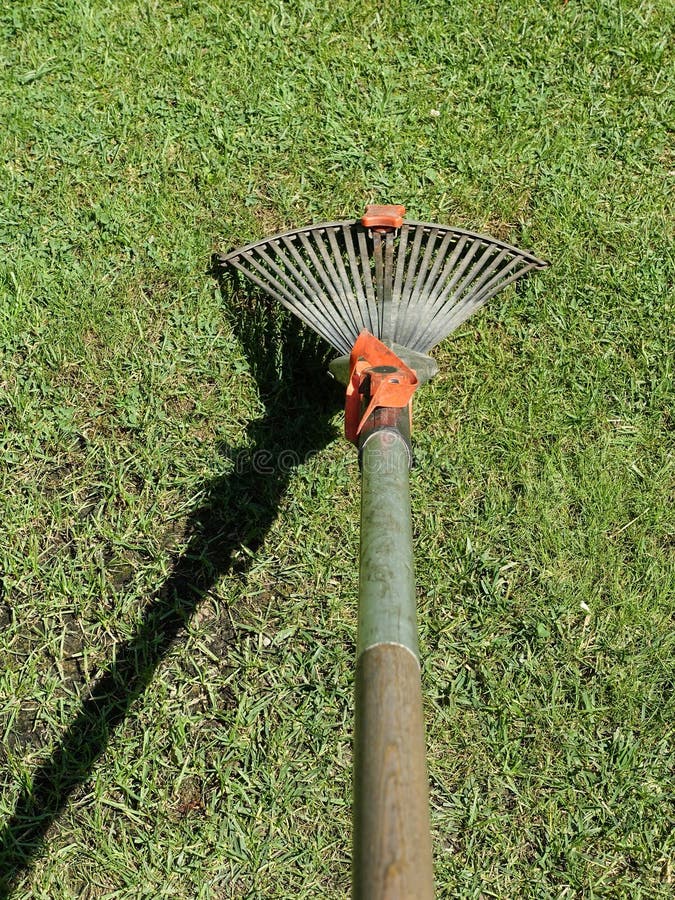 A Leaf Rake in the Garden on the Grass with Shadow Stock Photo - Image ...