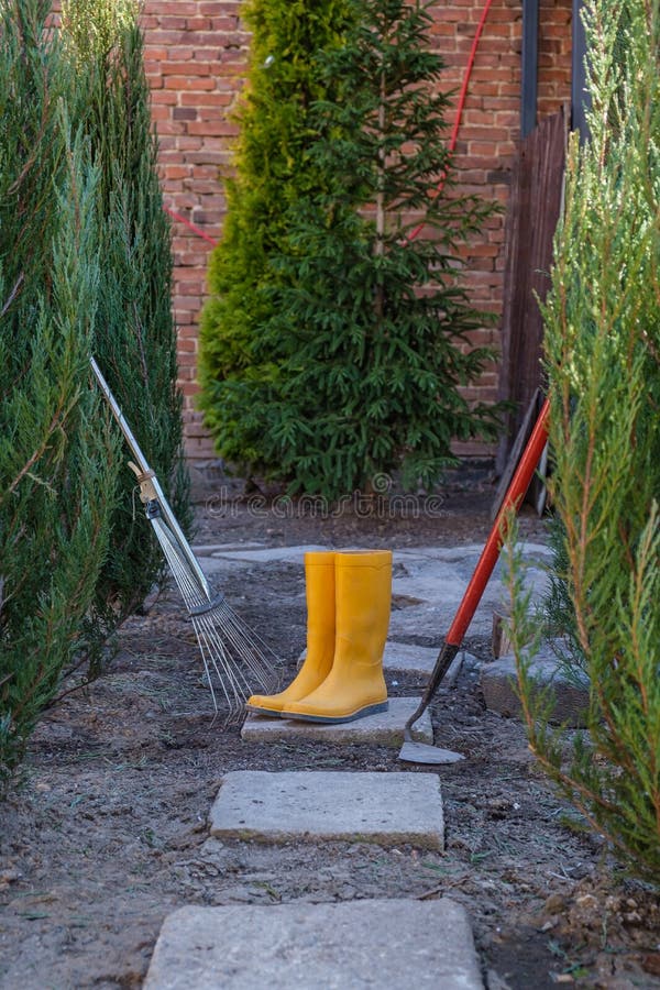 768 Concrete Rake Photos - Free & Royalty-Free Stock Photos from Dreamstime