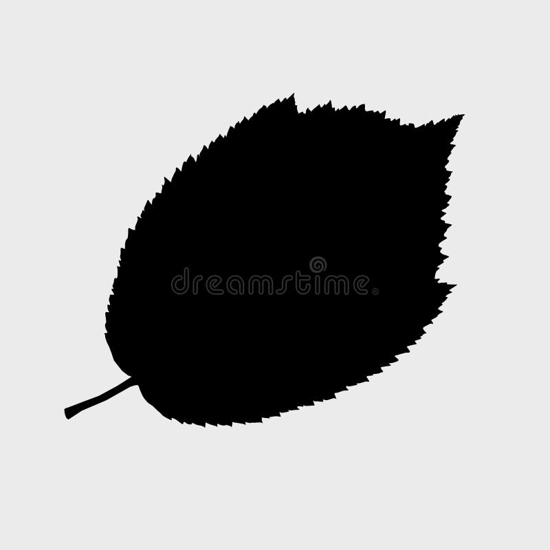 Leaf of a Raspberry Plant Silhouette on a White Background Stock Vector ...