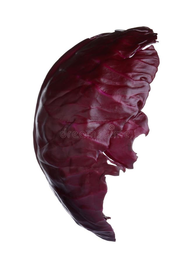 Leaf of Red Cabbage Isolated Stock Photo - Image of agriculture ...