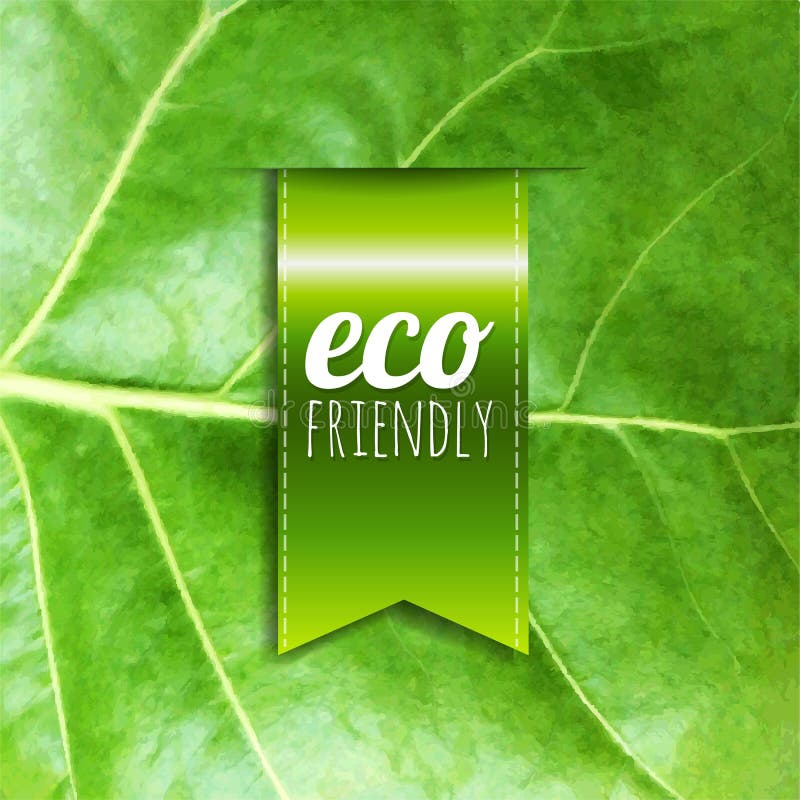 Leaf with Ribbon stock vector. Illustration of tape - 195397165