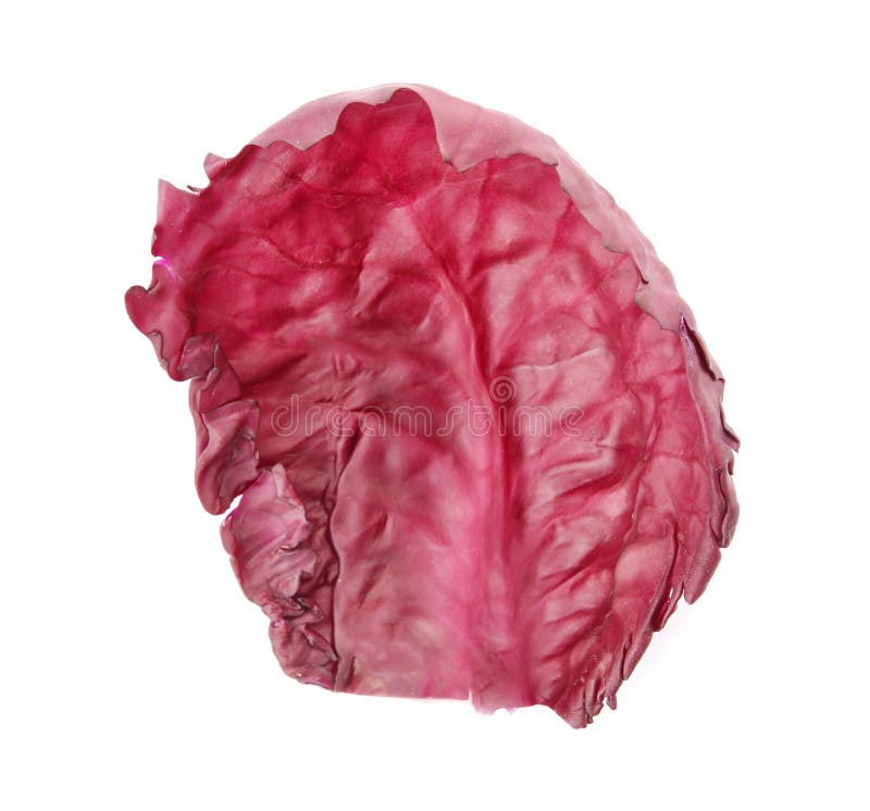 Leaf of Ripe Red Cabbage on White Background Stock Photo - Image of ...