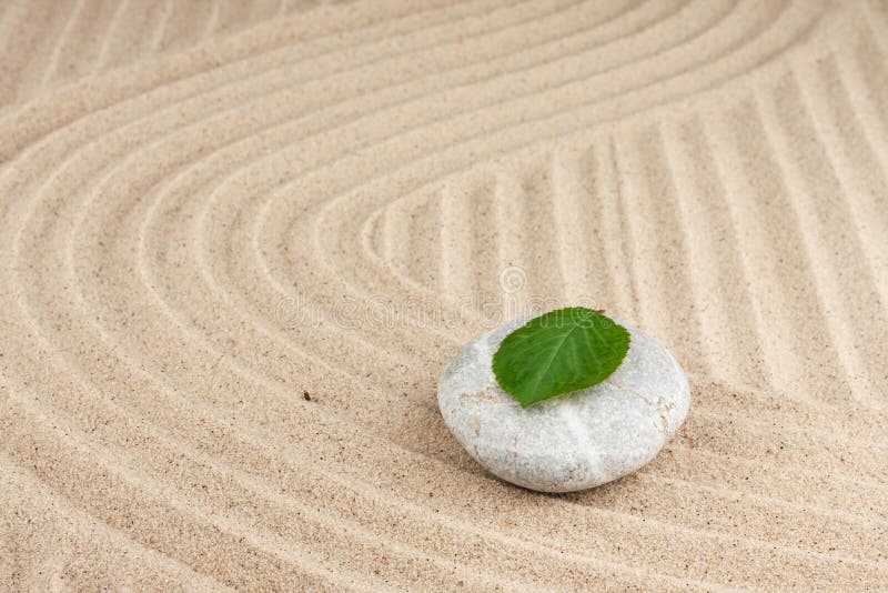 Leaf on a rock in the sand stock photo. Image of medicine - 32387558