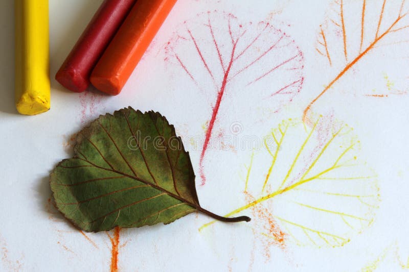 Leaf rubbing, autumn craft stock image. Image of seasons - 291155717
