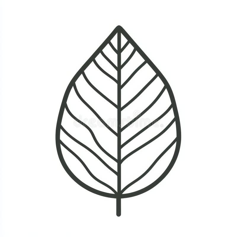 The Leaf S Shape is Simple, with Visible Veins that Create a Minimalist ...