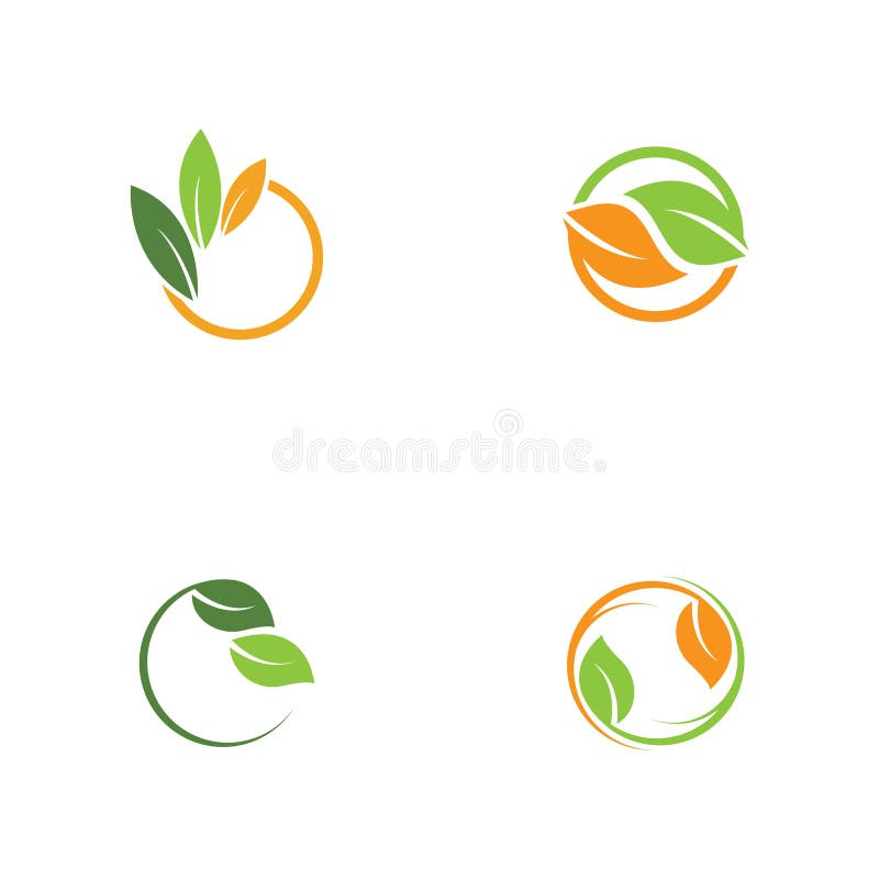 Leaf4 stock vector. Illustration of isolated, sign, green - 241285568