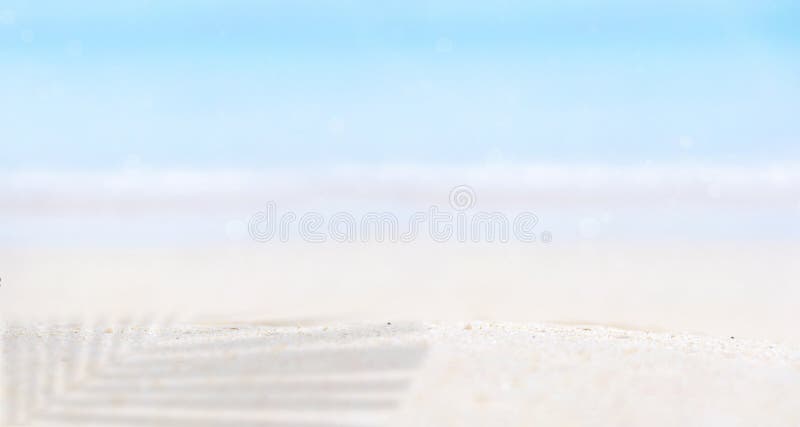 Leaf Shadow on Beach Scenery Red Shells in the Sand Stock Photo - Image ...