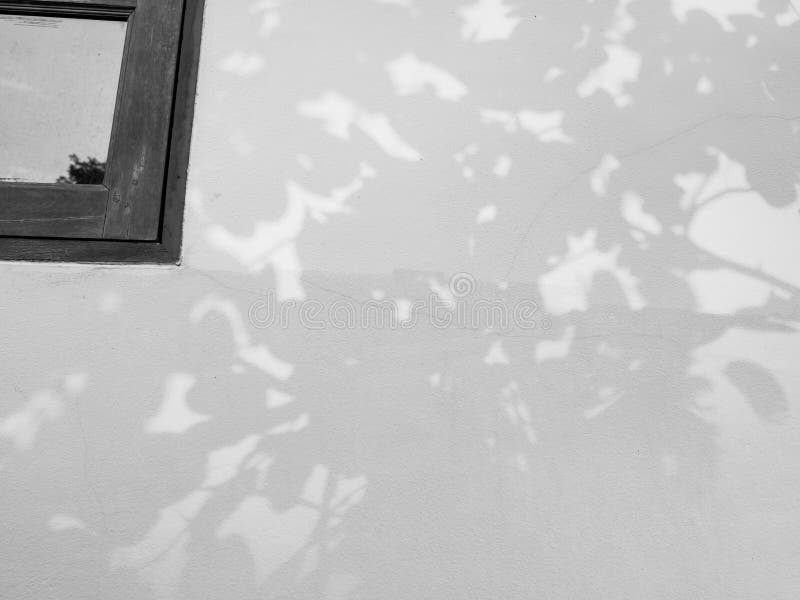 Leaf Shadow on Concrete Cement Plaster Paint, with Bamboo Lean on the ...