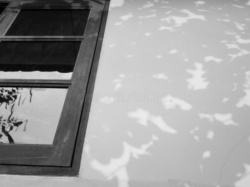 Leaf Shadow on Concrete Cement Plaster Paint, with Bamboo Lean on the ...