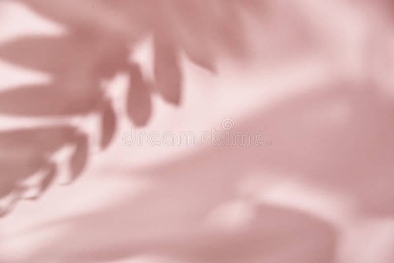 Leaf Shadow on Pink Background. Creative Abstract Background Stock ...