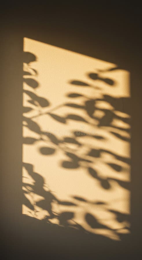 Leaf Shadows Cast a Natural, Abstract Pattern on a Warm-toned Wall ...