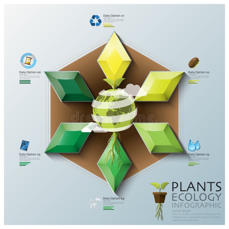 Leaf Shape Three Dimension Polygon Ecology and Environment Infographic ...