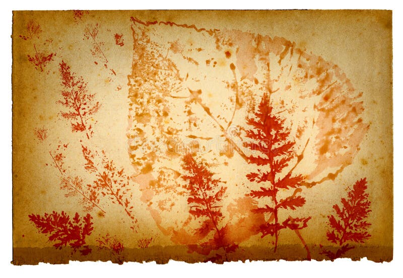 Leaf Shapes on Old Paper Sheet Stock Photo - Image of aged, shape: 52247364