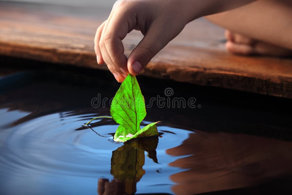 Leaf ship stock photo. Image of color, child, happiness - 29514734