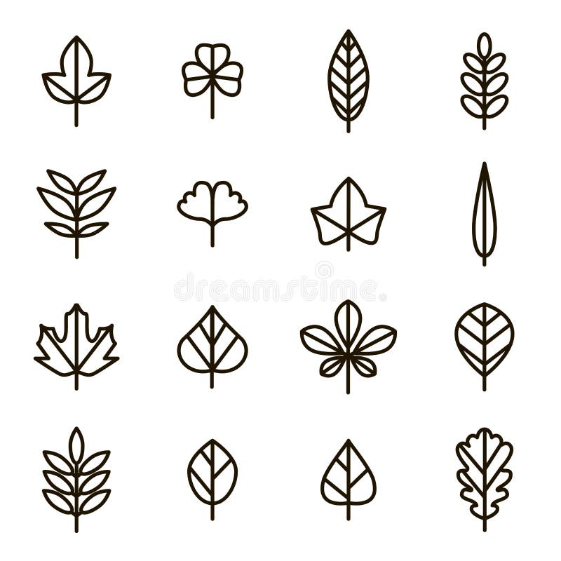 Leaf Signs Black Thin Line Icon Set. Vector Stock Vector - Illustration ...