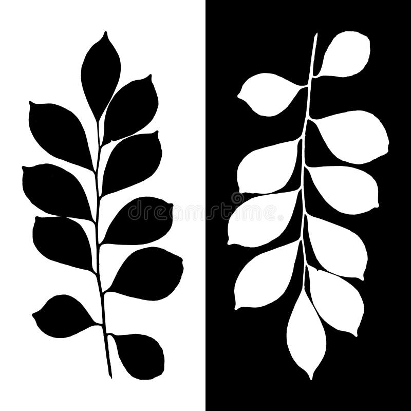 Leaf Silhouette Illustration in Black and White, Positive and Negative ...