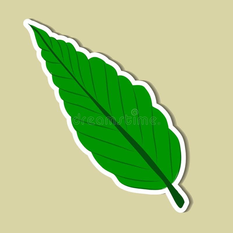 Leaf of simple stock vector. Illustration of blue, flowers - 133328554